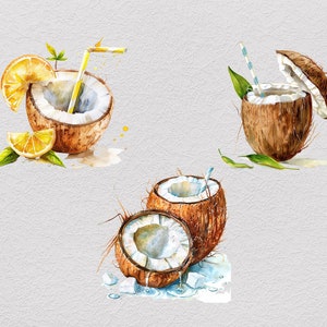 Summer Coconut Drinks Beach Clipart PNG Bundle Transparent Background ...