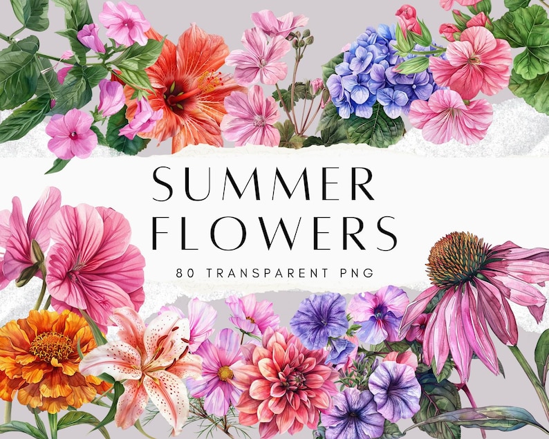 80 Summer Flowers PNG, Sunflower Clipart Bundle, Transparent PNG ...