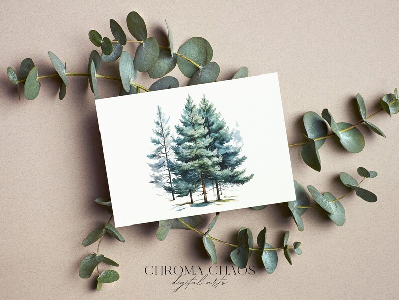 Pine Tree Forest Clipart Bundle, Transparent PNG, Beautiful Watercolor ...