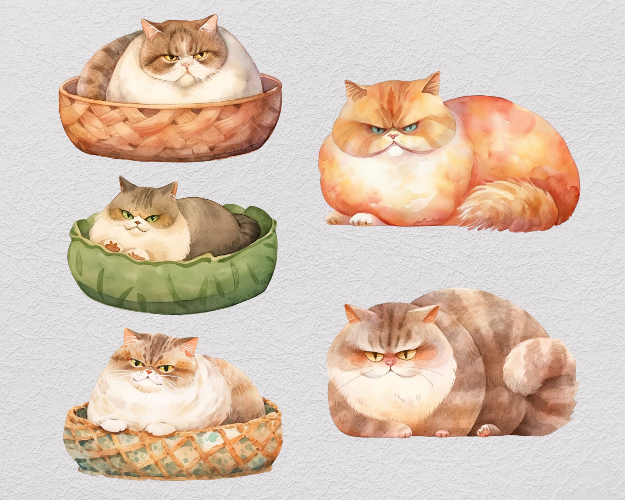 32 Angry Chubby Cats Clipart, Kitten Family PNG, Cat Clipart, Cat PNG ...
