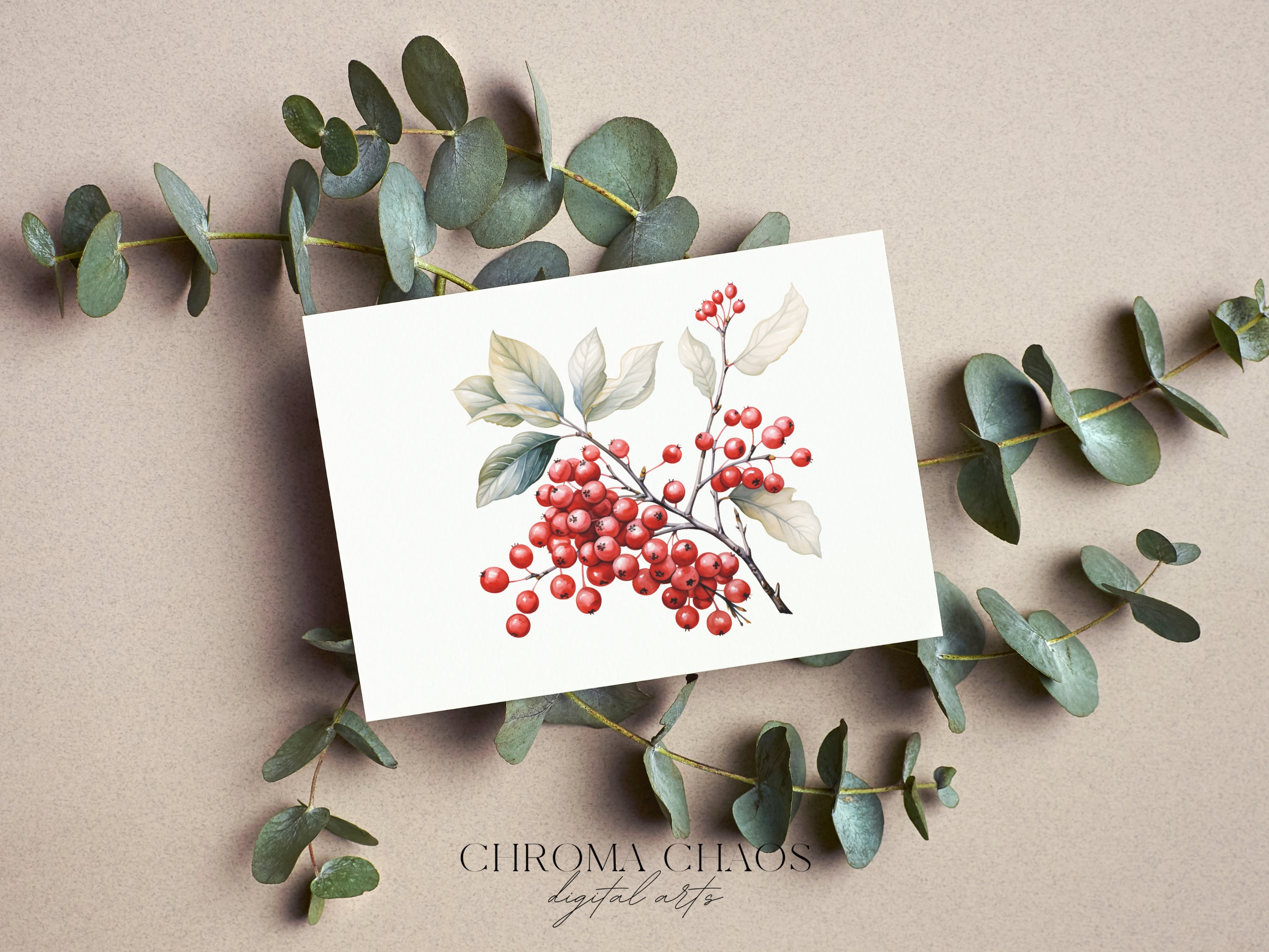 Winter Berries Clipart PNG, Berries PNG, Winter Clip Art, Scrapbook ...
