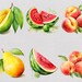 106 Watercolour Fruits Clipart Bundle,m, Fruits Clipart, Papaya, Kiwi ...