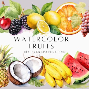 106 Watercolour Fruits Clipart Bundle,m, Fruits Clipart, Papaya, Kiwi ...