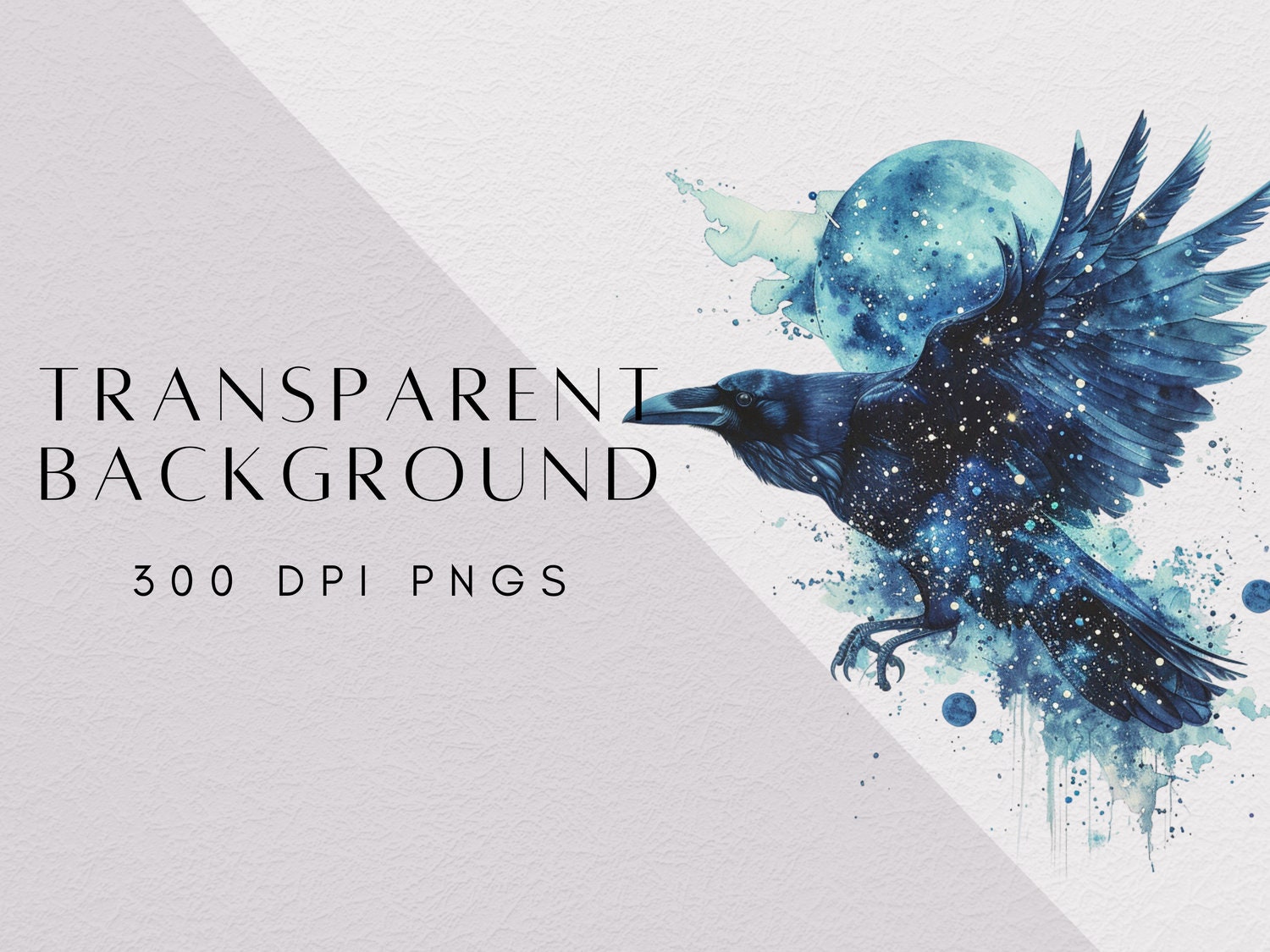 Raven and the Galaxy, Cosmic Raven Clipart Raven PNG Bundle Witchcraft ...