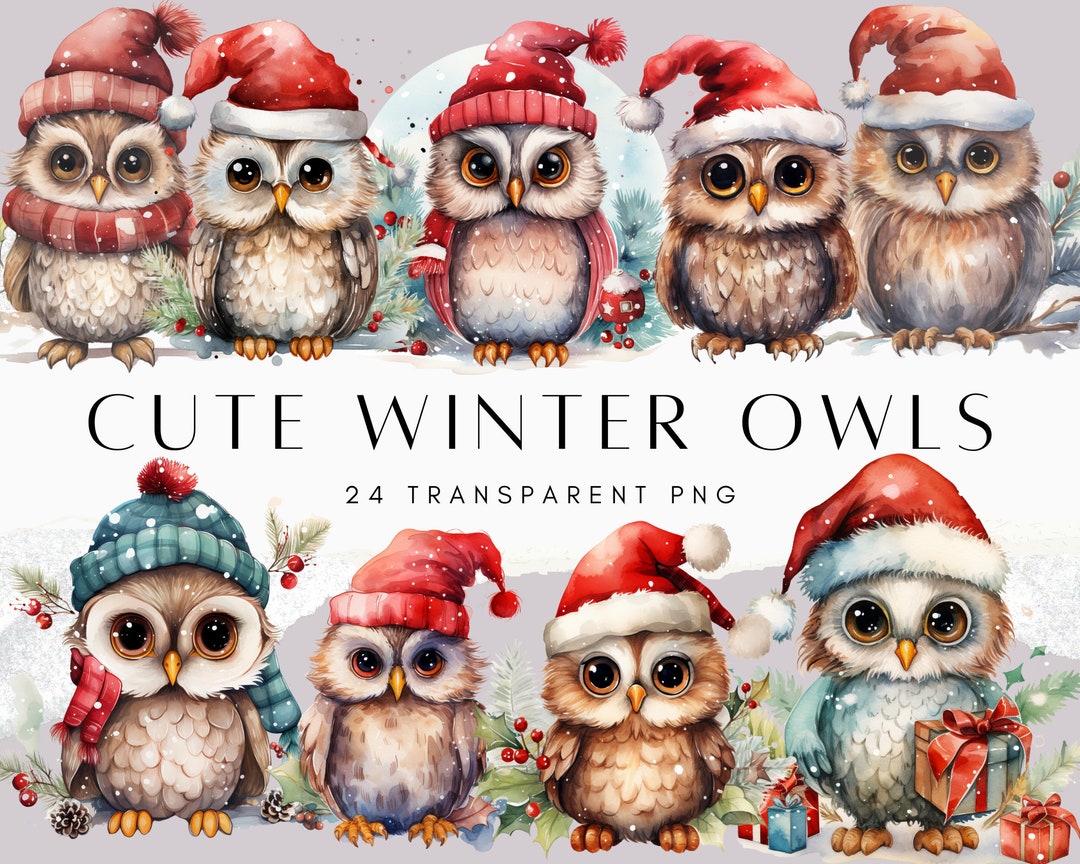 Cute Owl PNG, Owl Clipart, Winter Animals Clipart, Scarf and Beanie ...