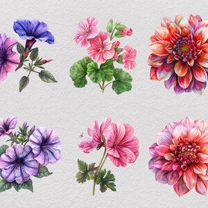 80 Summer Flowers PNG, Sunflower Clipart Bundle, Transparent PNG ...