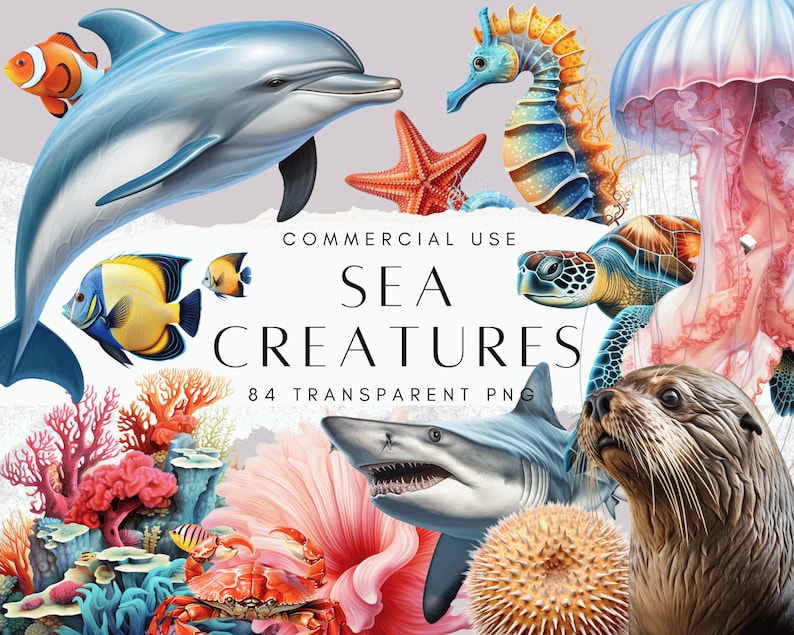 84 Sea Animals Clipart PNG Bundle, Transparent Clip Art for Kids ...