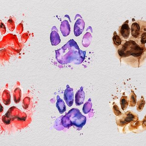 56 Watercolor Dog Paws Clip Art, Transparent PNG, Beautiful Dog Paws ...