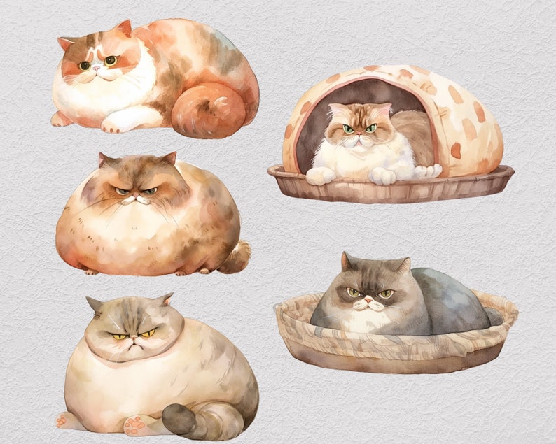 32 Angry Chubby Cats Clipart, Kitten Family PNG, Cat Clipart, Cat PNG ...