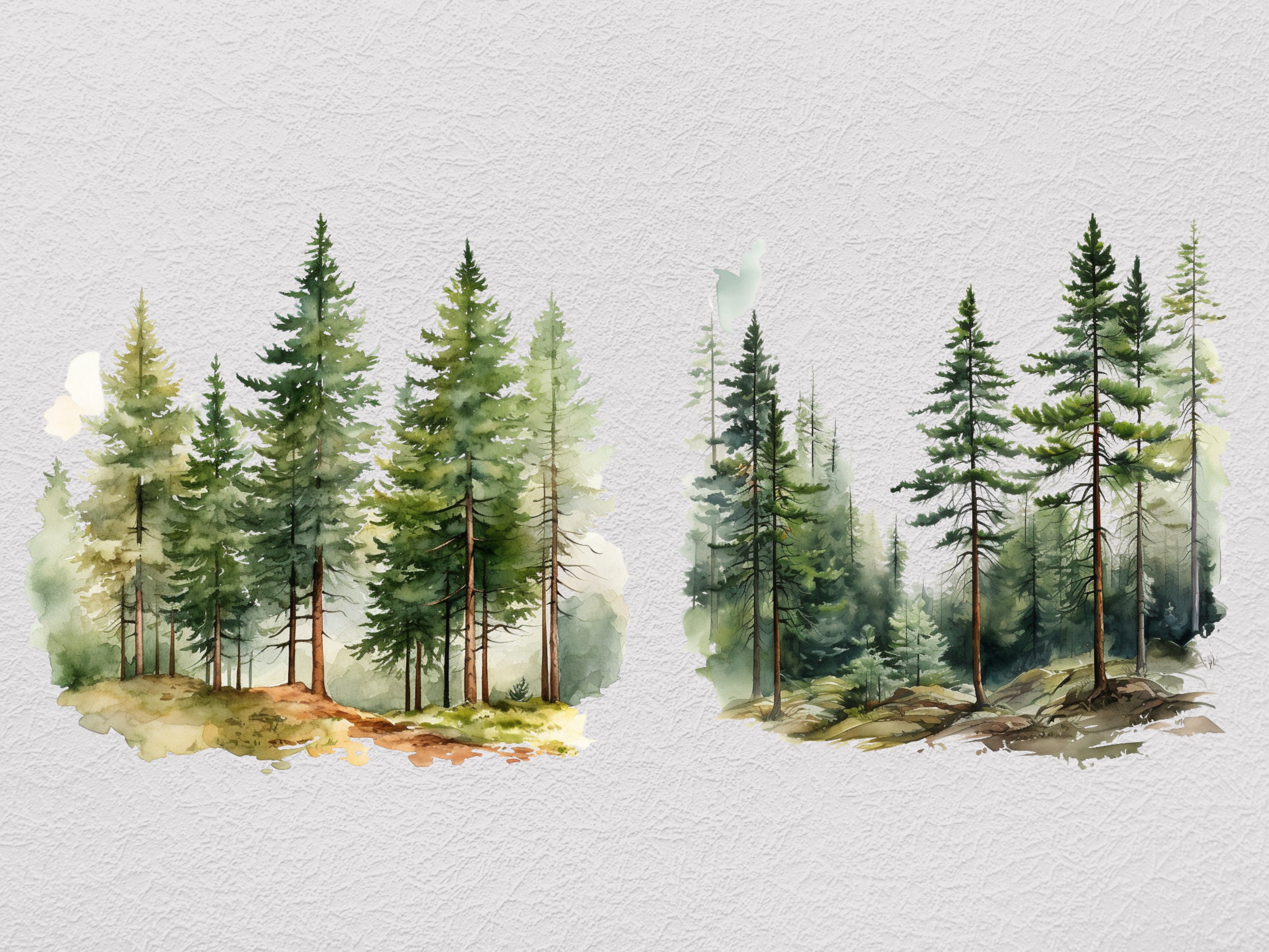 Pine Tree Forest Clipart Bundle, Transparent PNG, Beautiful Watercolor ...