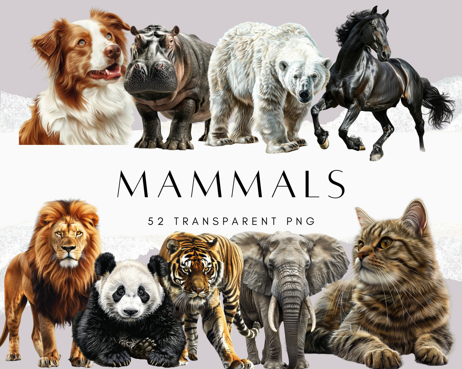 Mammals Clipart PNG Bundle, Transparent Clip Art for Kids Activity ...