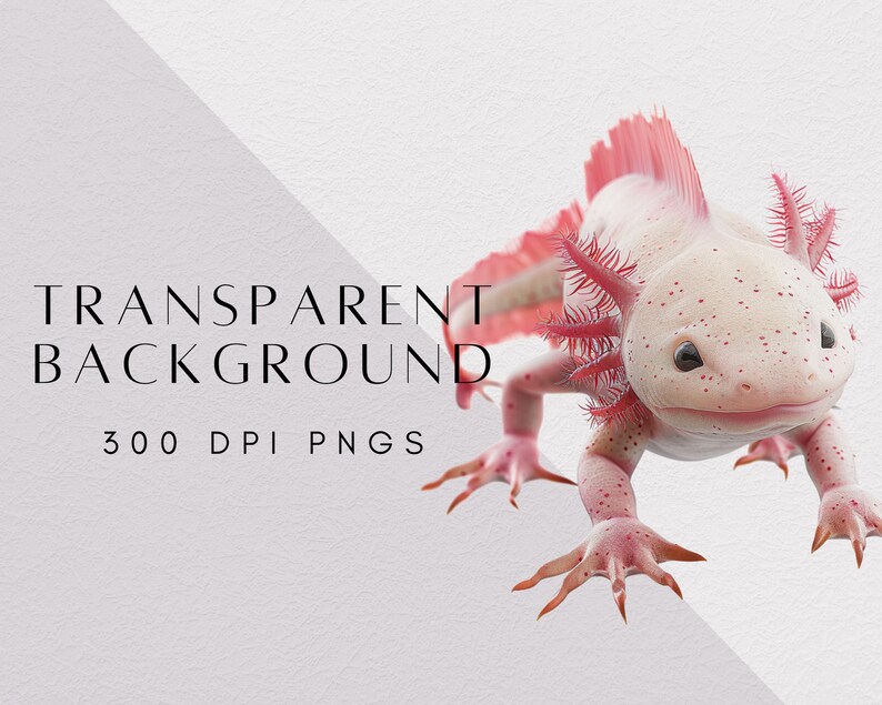 Amphibian Clipart PNG Bundle, Transparent Clip Art for Kids Activity ...