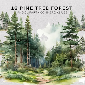 Pine Tree Forest Clipart Bundle, Transparent PNG, Beautiful Watercolor ...