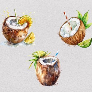 Summer Coconut Drinks Beach Clipart PNG Bundle Transparent Background ...