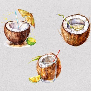 Summer Coconut Drinks Beach Clipart PNG Bundle Transparent Background ...
