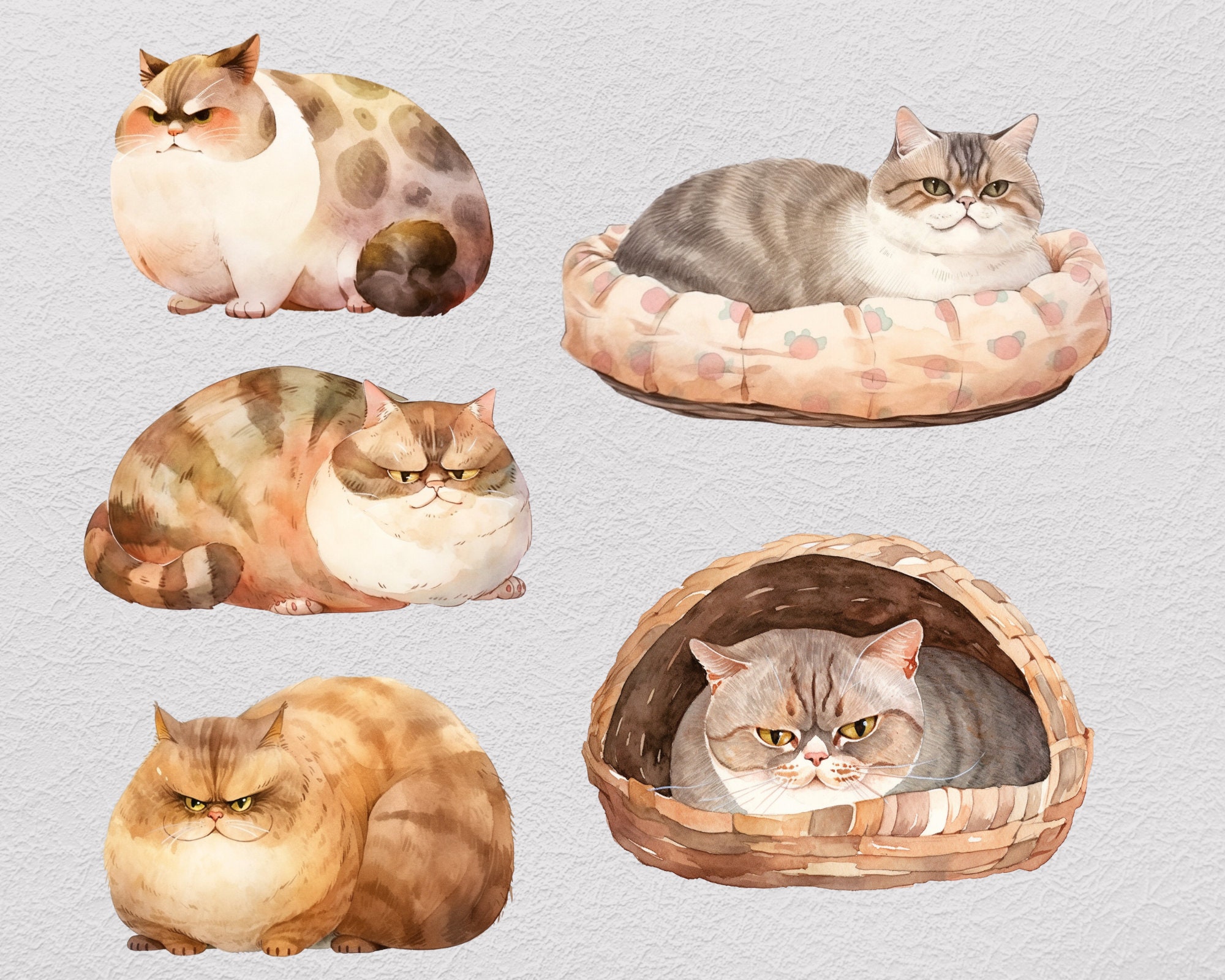 32 Angry Chubby Cats Clipart, Kitten Family PNG, Cat Clipart, Cat PNG ...