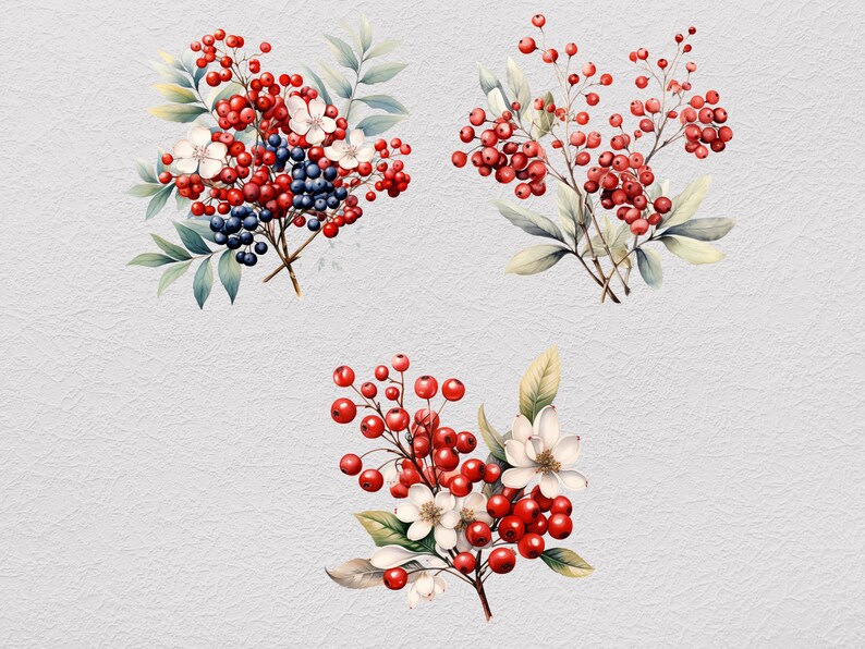 Winter Berries Clipart PNG, Berries PNG, Winter Clip Art, Scrapbook ...
