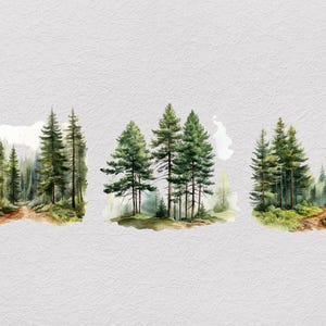 Pine Tree Forest Clipart Bundle, Transparent PNG, Beautiful Watercolor ...