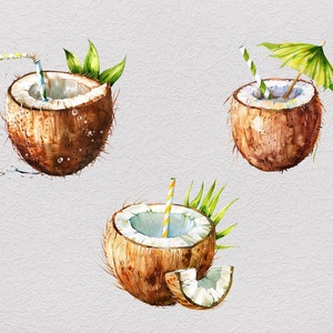 Summer Coconut Drinks Beach Clipart PNG Bundle Transparent Background ...