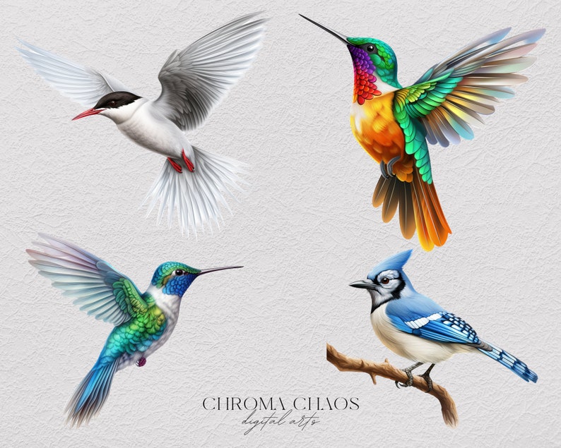 81 Beautiful Bird Clipart PNG Bundle Transparent Background Clip Art ...