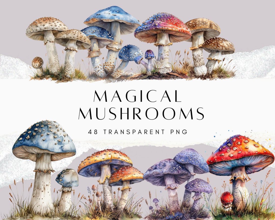 Magical Mushroom Clipart Bundle, Colorful Mushroom PNG, Ornament ...