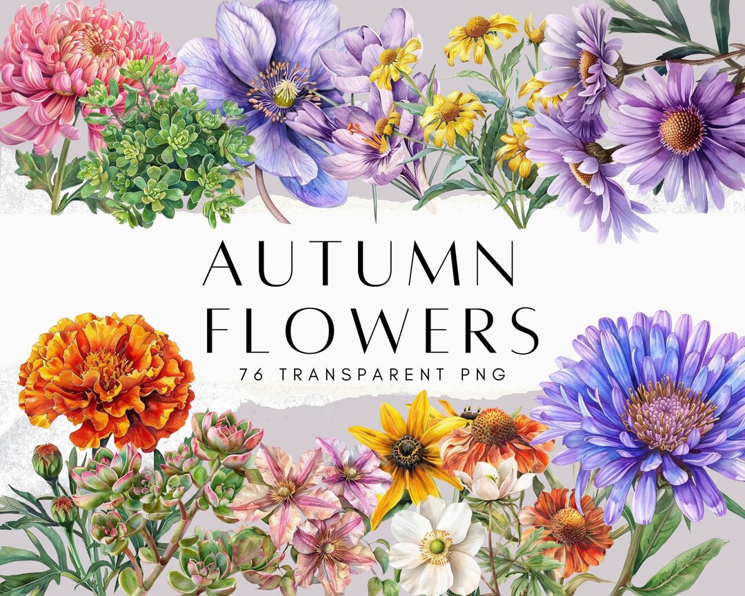 Autumn Flowers PNG, Sunflower Clipart Bundle, Transparent PNG ...