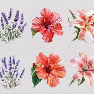 80 Summer Flowers PNG, Sunflower Clipart Bundle, Transparent PNG ...