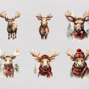 40 Cute Winter Moose Clipart, Moose Family PNG, Scarf and Beanie, Snowy ...