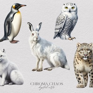 49 Snow Animals Clipart PNG Bundle, Transparent Clip Art for Kids ...