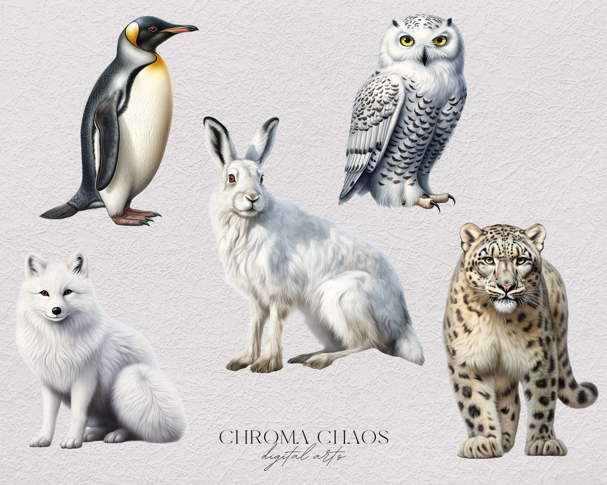 49 Snow Animals Clipart PNG Bundle, Transparent Clip Art for Kids ...