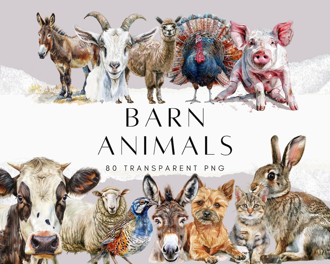 80 Barn Animals Clipart PNG Bundle Transparent Background Clip Art for ...