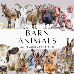 80 Barn Animals Clipart PNG Bundle Transparent Background Clip Art for ...