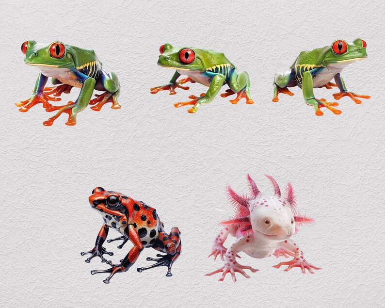 Amphibian Clipart PNG Bundle, Transparent Clip Art for Kids Activity ...