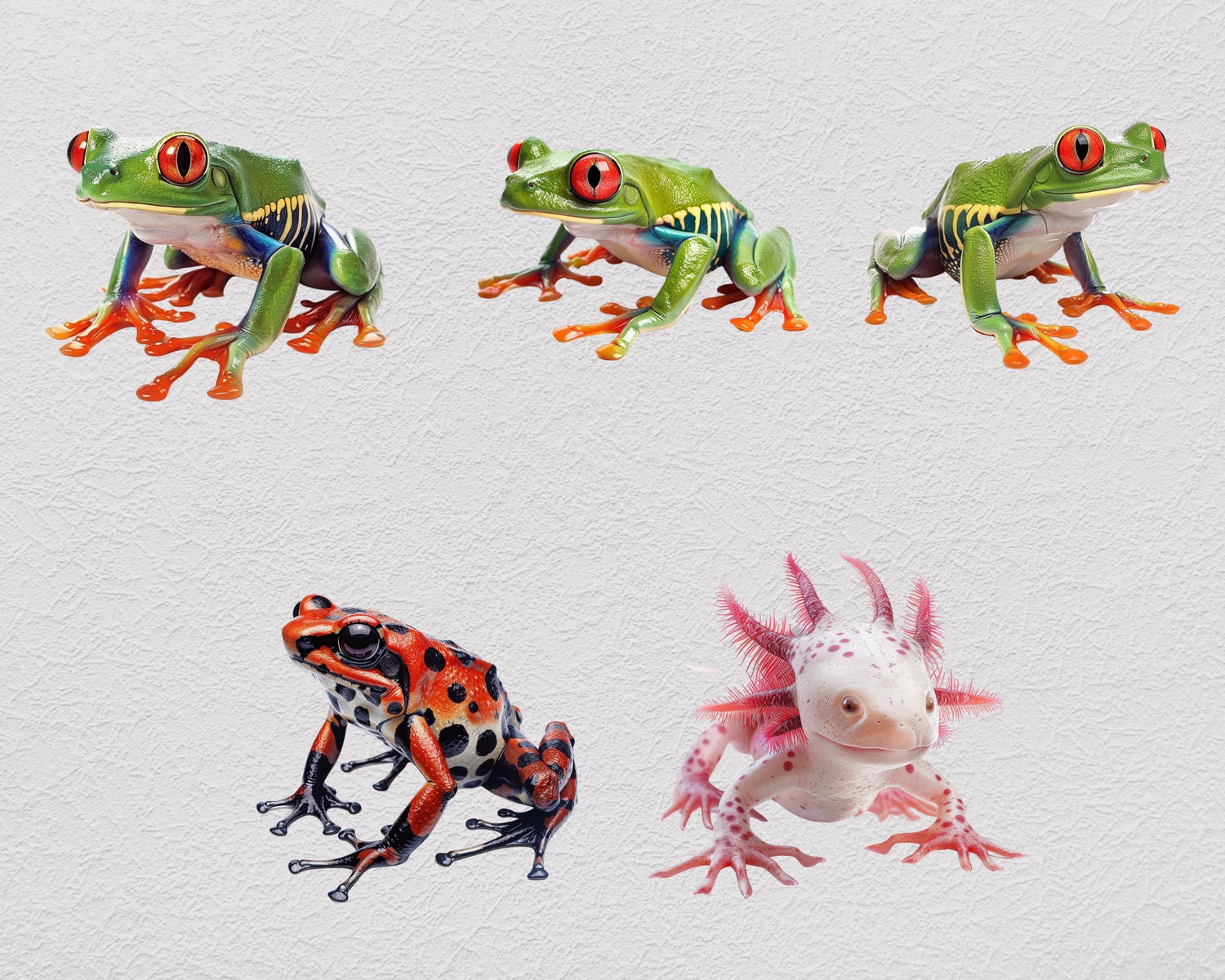 Amphibian Clipart PNG Bundle, Transparent Clip Art for Kids Activity ...