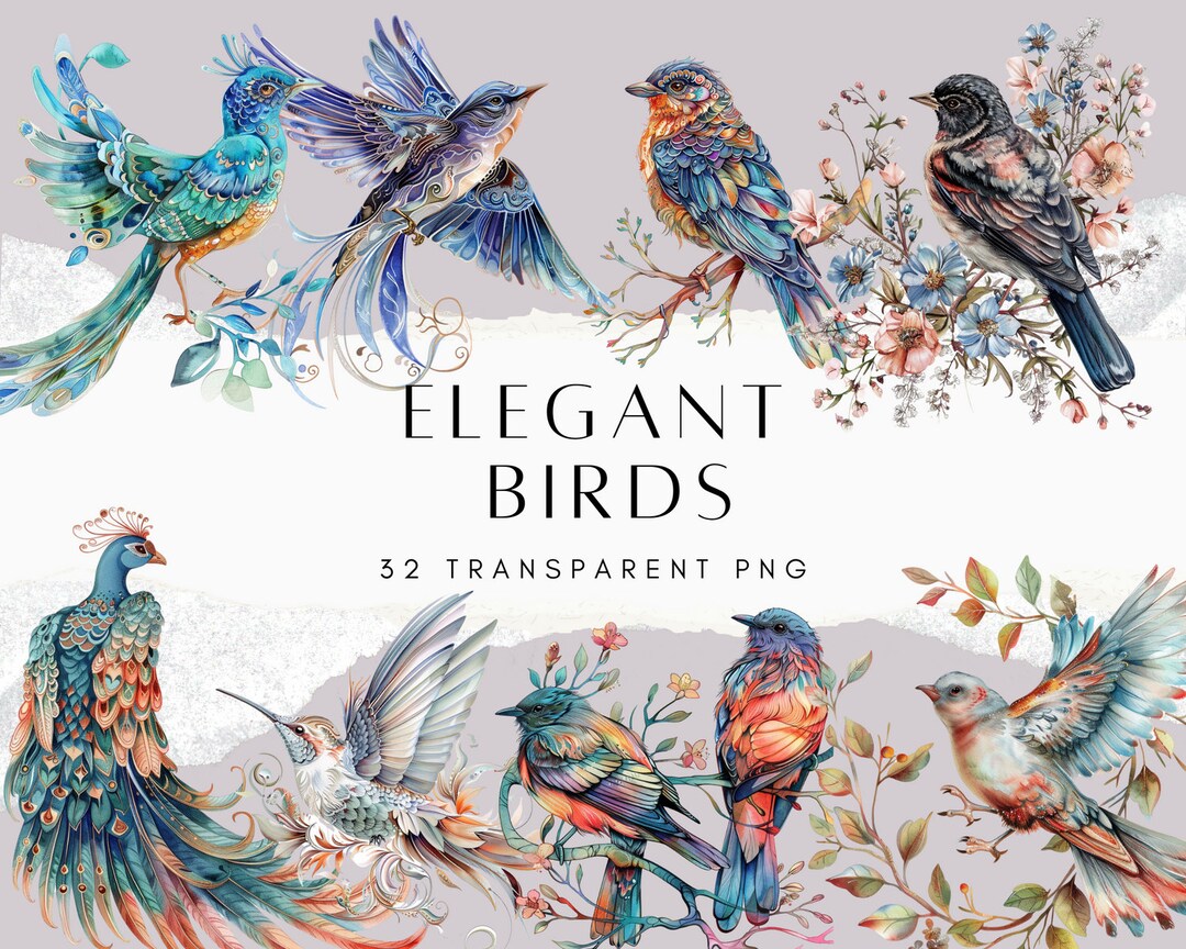 Elegant Bird Clipart PNG Bundle Transparent Background Clip Art for ...
