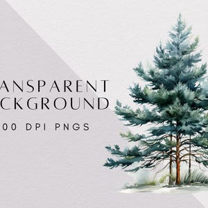 Pine Tree Forest Clipart Bundle, Transparent PNG, Beautiful Watercolor ...