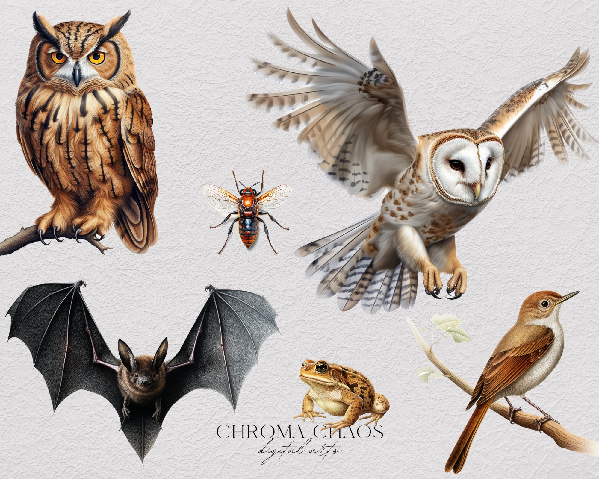 66 Night Animals Clipart PNG Bundle, Transparent Clip Art for Kids ...