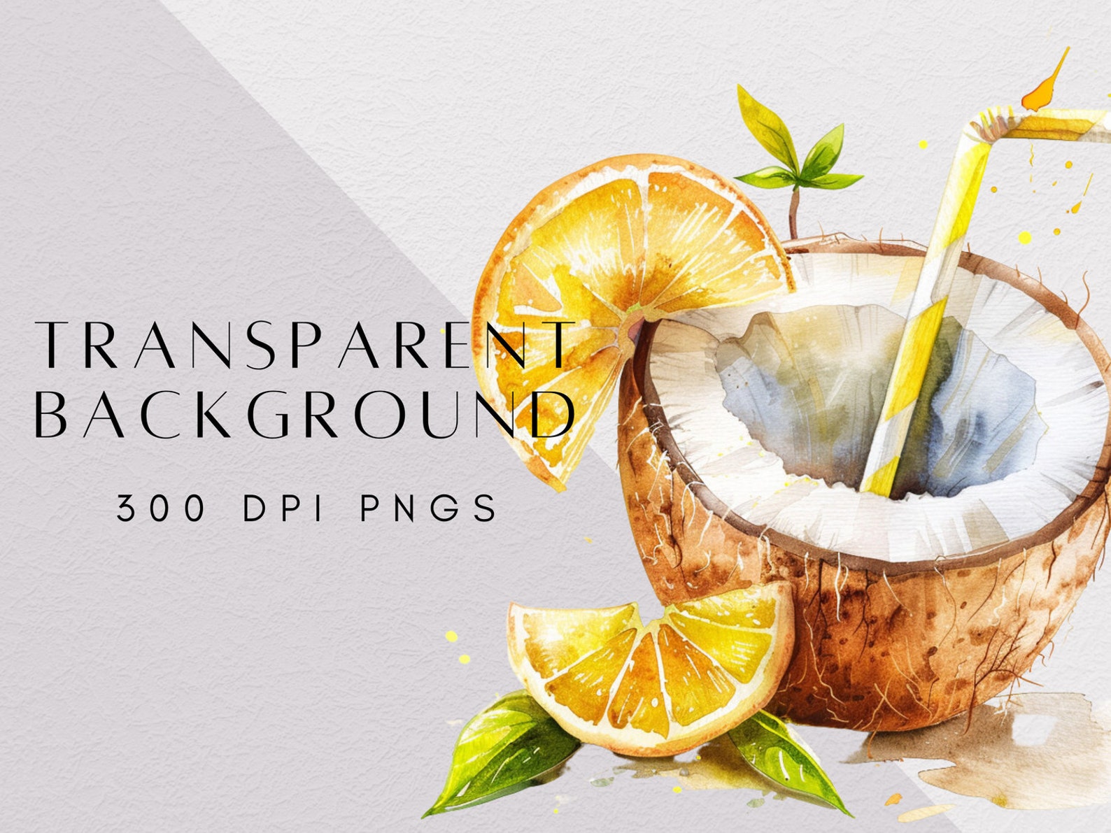 Summer Coconut Drinks Beach Clipart PNG Bundle Transparent Background ...