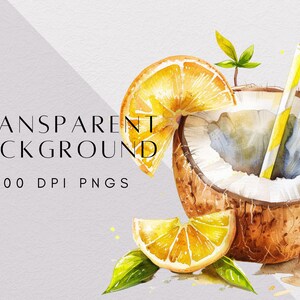 Summer Coconut Drinks Beach Clipart PNG Bundle Transparent Background ...