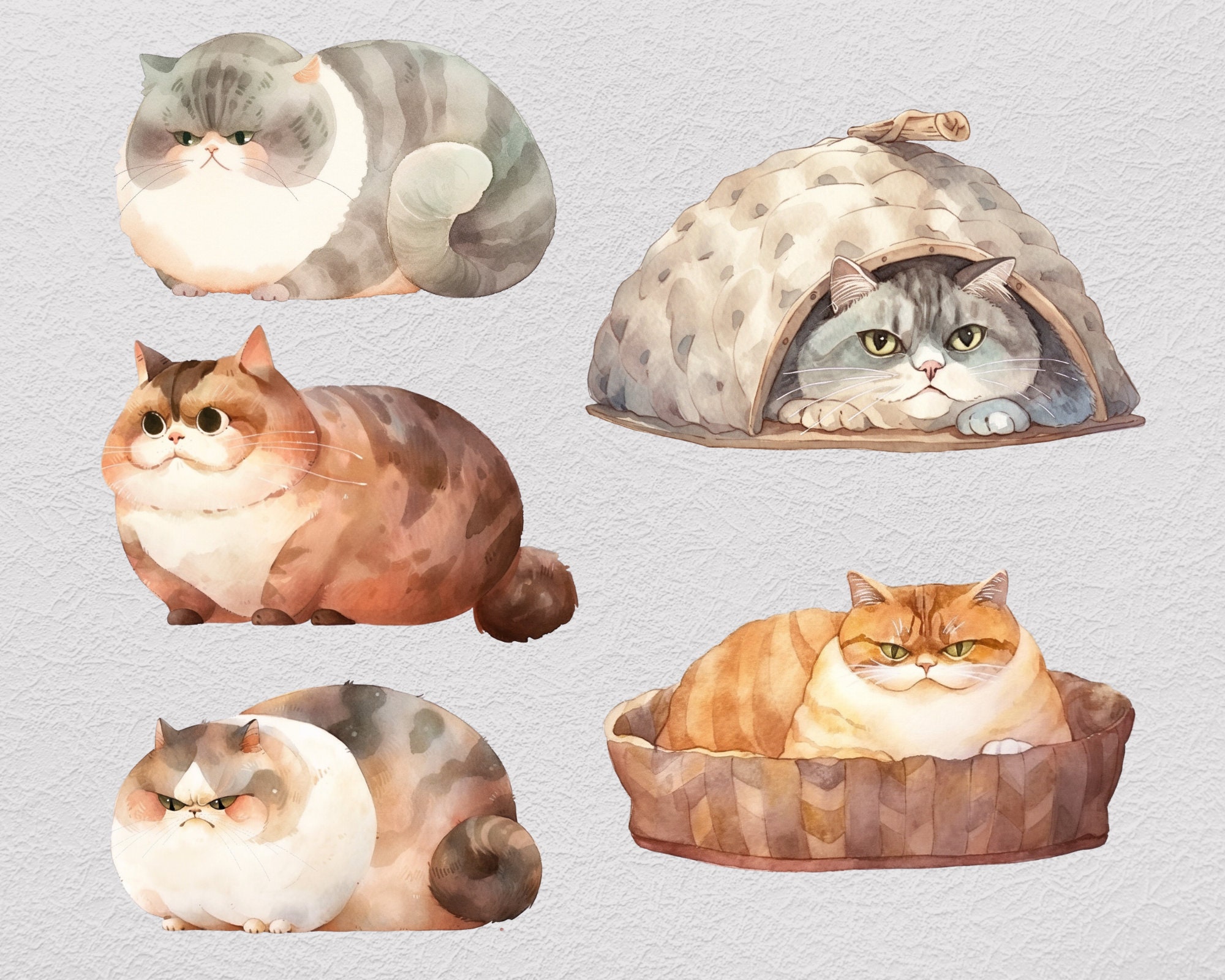 32 Angry Chubby Cats Clipart, Kitten Family PNG, Cat Clipart, Cat PNG ...