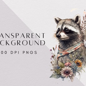 Cute Baby Raccoon Wearing a Scarf PNG, Watercolor Clipart, Transparent ...