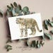 34 Big Cats Animals Clipart PNG Bundle Transparent Background Clip Art ...