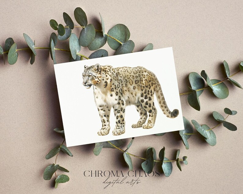34 Big Cats Animals Clipart PNG Bundle Transparent Background Clip Art ...