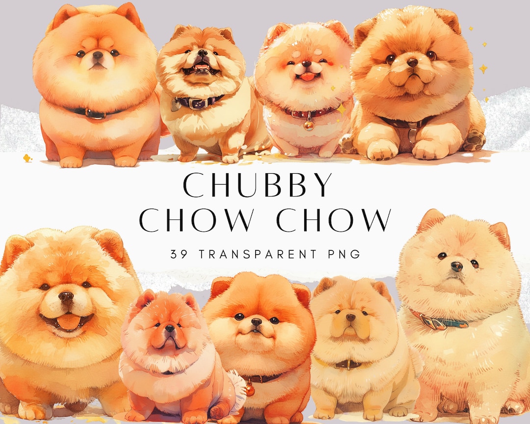 39 Chubby Chow Chow Clipart, Pup Family PNG, Dogclipart, Dog PNG ...