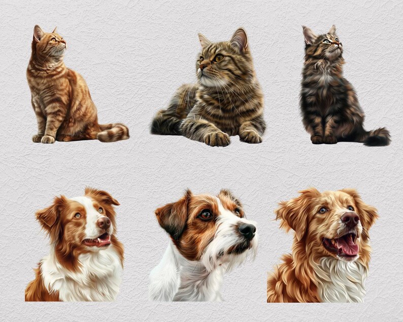 Mammals Clipart PNG Bundle, Transparent Clip Art for Kids Activity ...