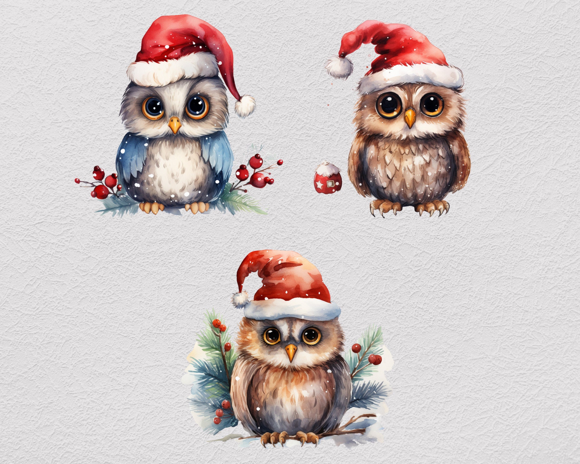 Cute Owl PNG, Owl Clipart, Winter Animals Clipart, Scarf and Beanie ...