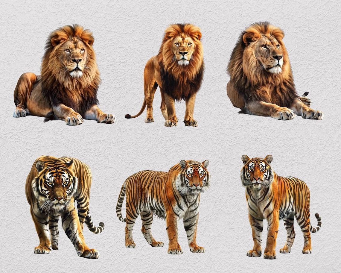 Mammals Clipart PNG Bundle, Transparent Clip Art for Kids Activity ...