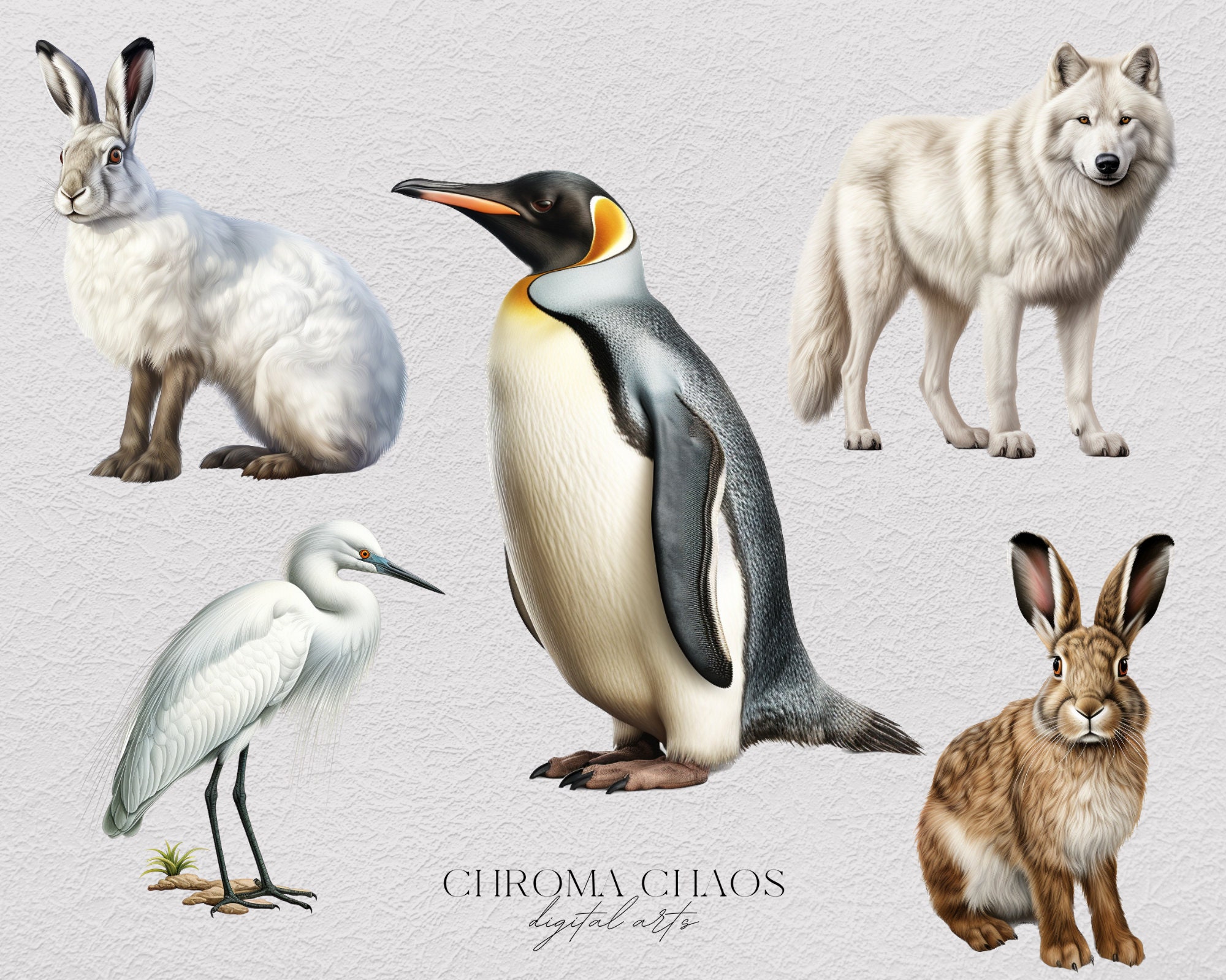 49 Snow Animals Clipart PNG Bundle, Transparent Clip Art for Kids ...