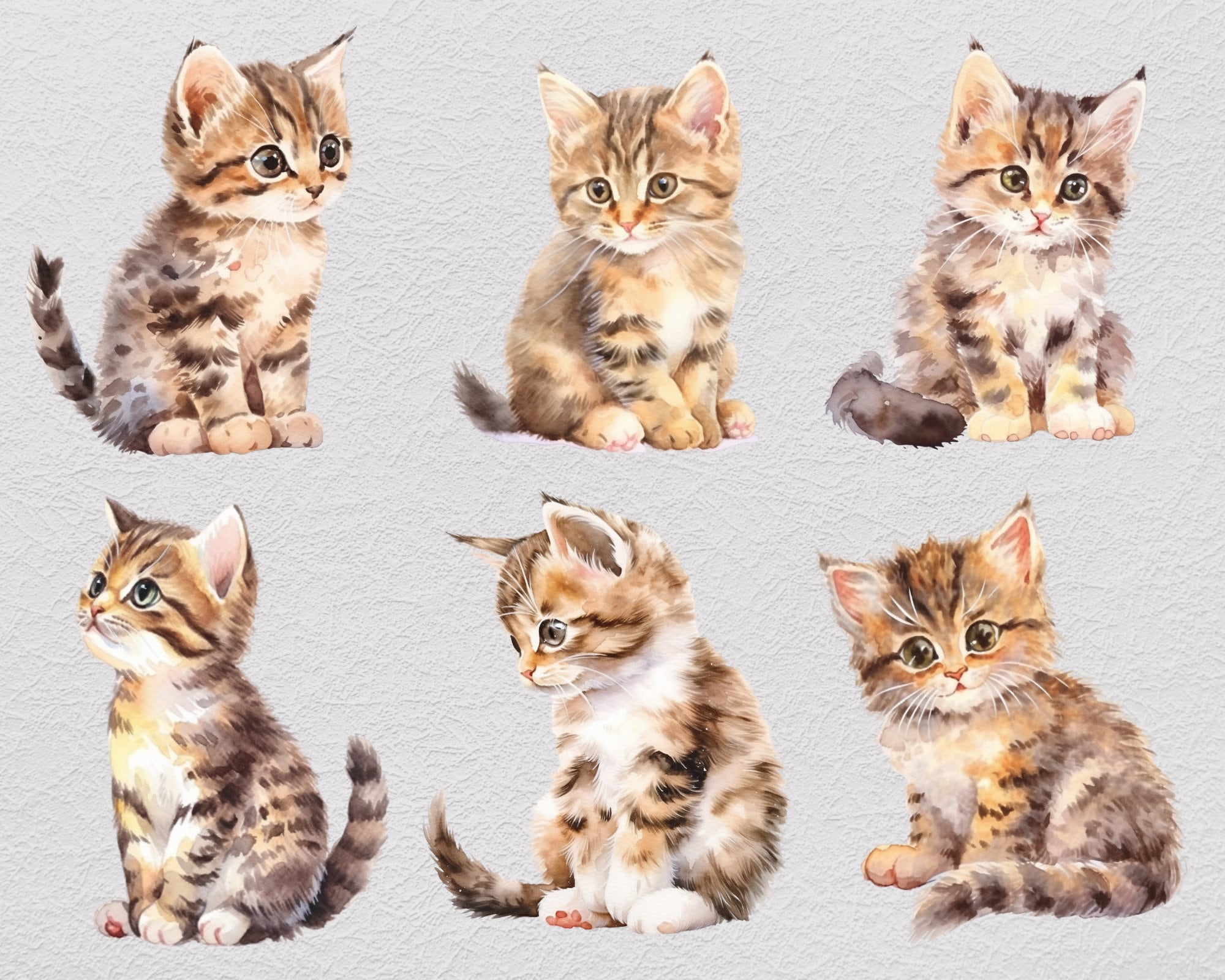 44 Fluffy Kittens Clipart Kitten Family PNG Cat Clipart Cat - Etsy