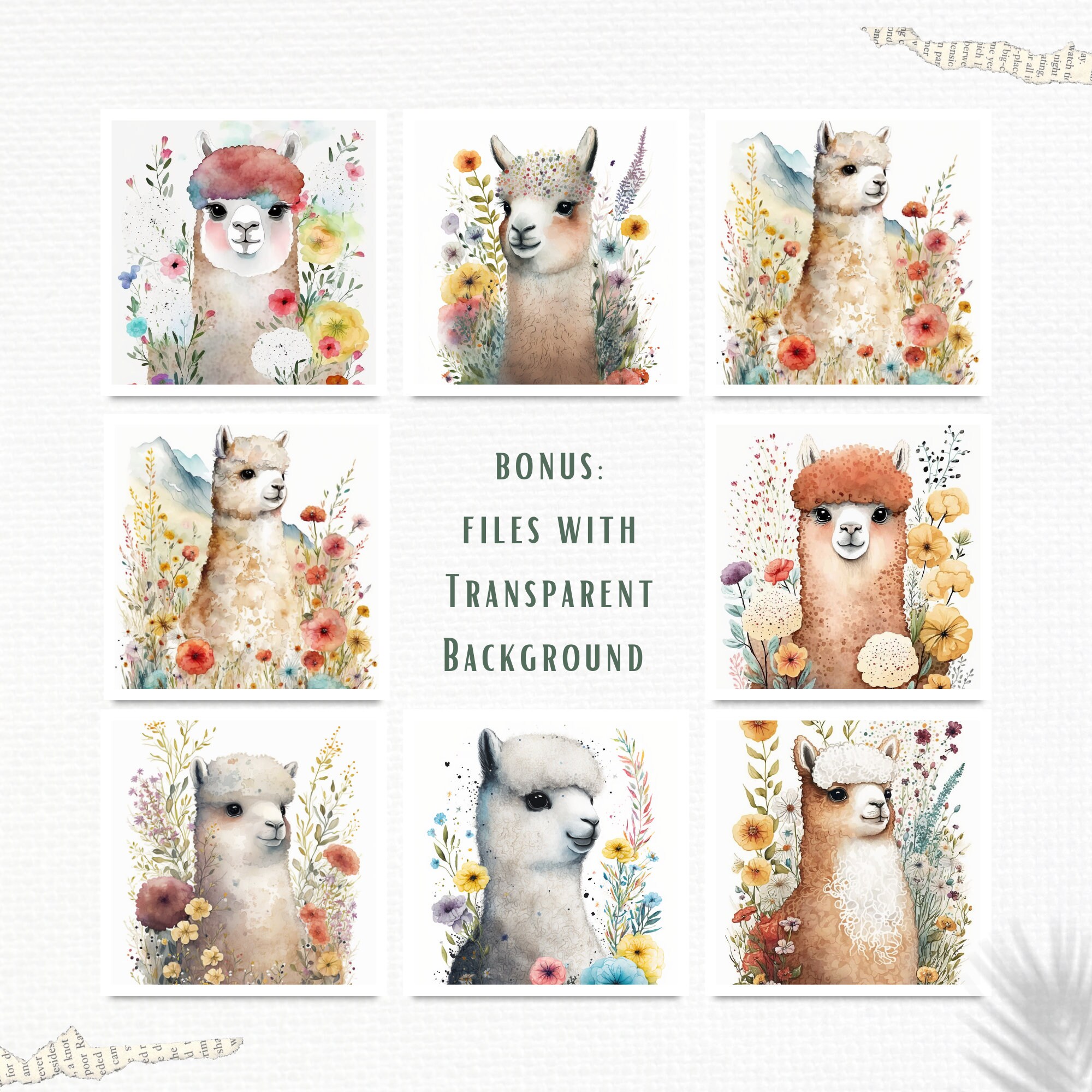 Cute Alpaca PNG Watercolor Clipart Transparent PNG - Etsy